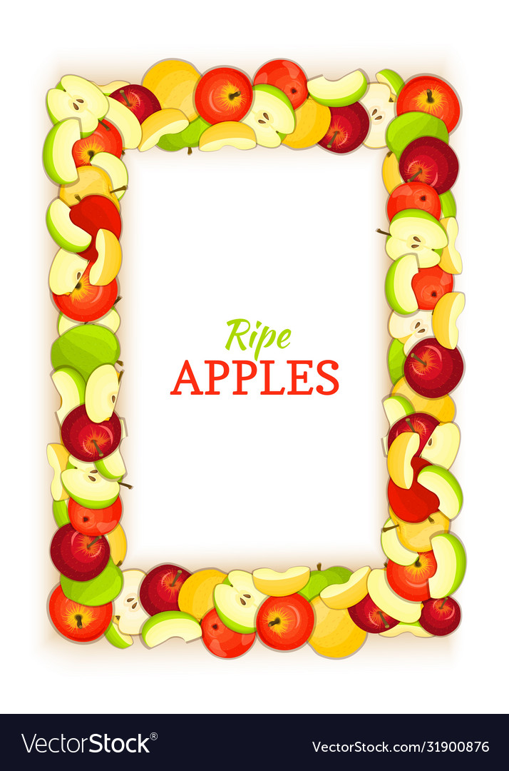 Vertical rectangle colored frame composed Vector Image