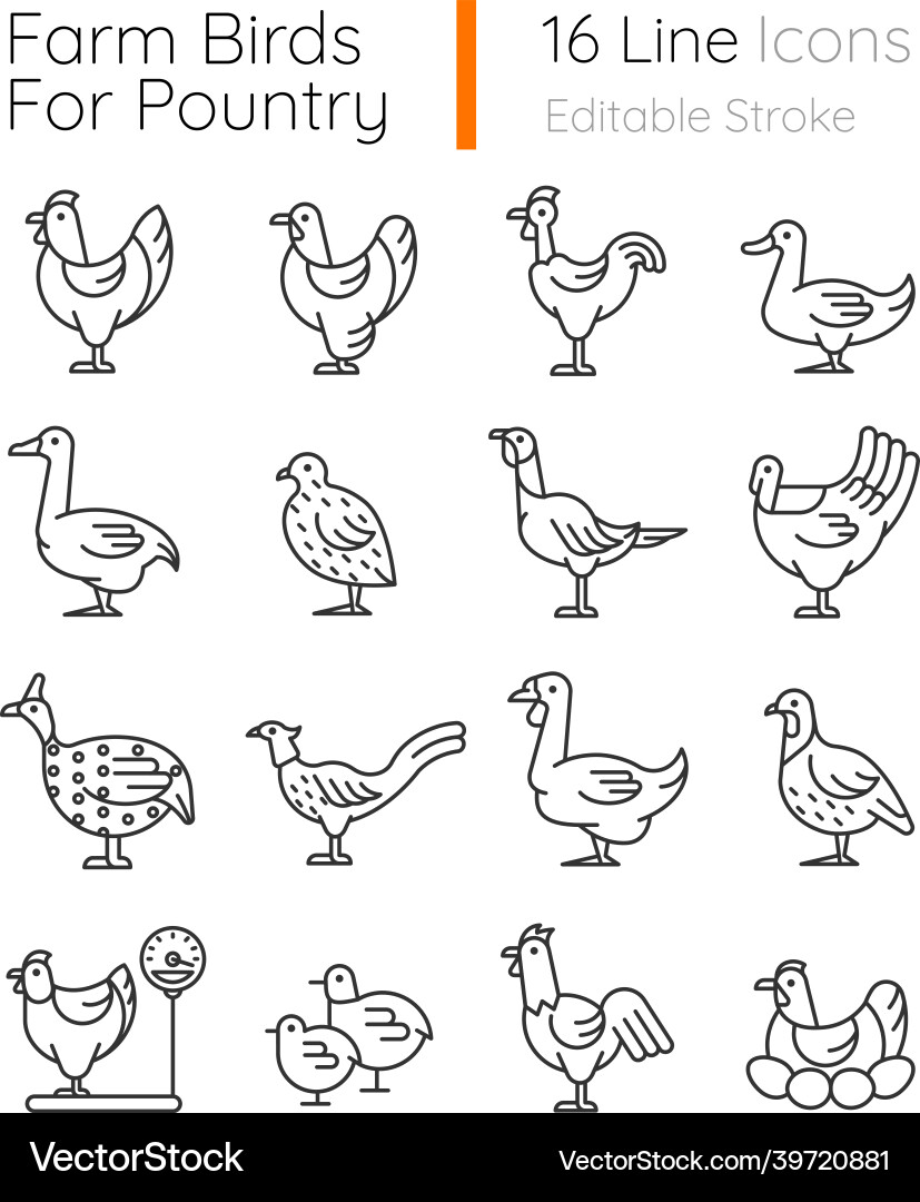 Farm birds for poultry linear icons set Royalty Free Vector