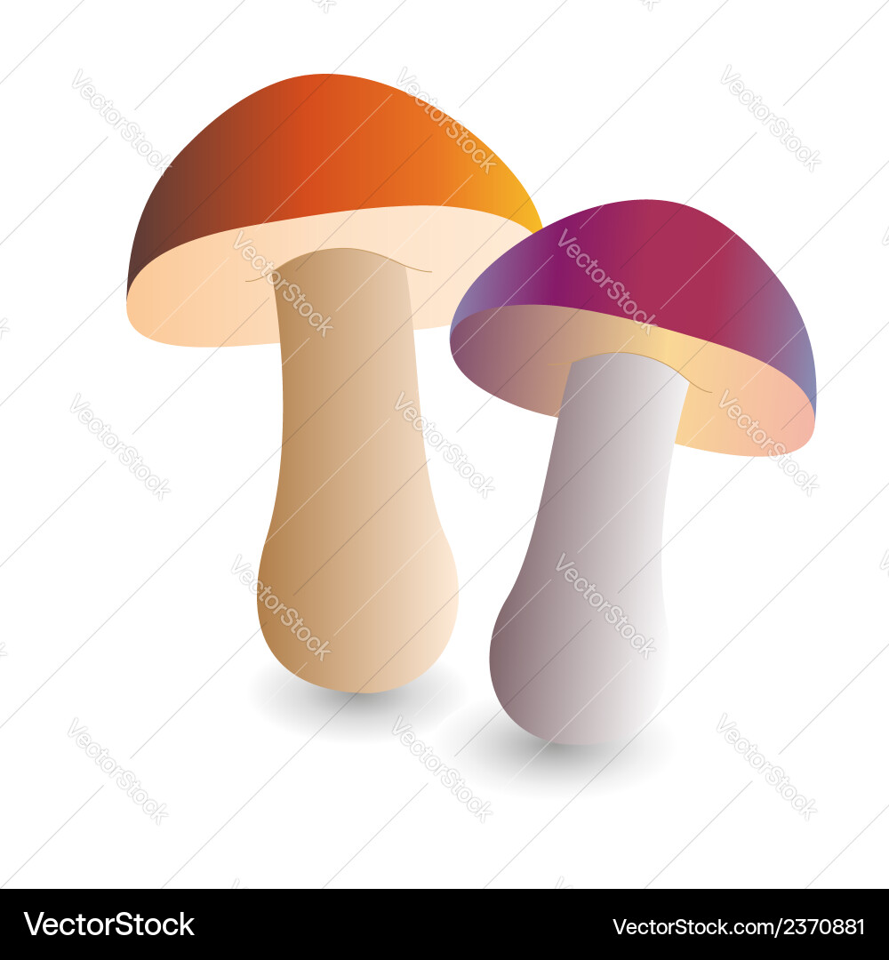 Mushrooms Royalty Free Vector Image - VectorStock
