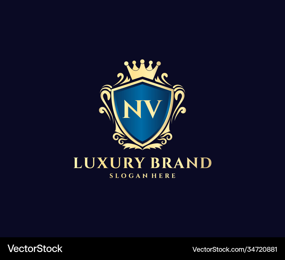 Nv initial letter gold calligraphic feminine Vector Image