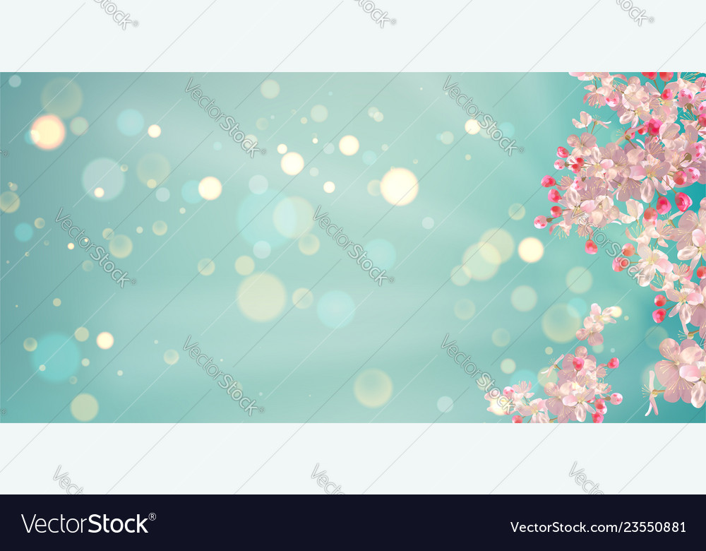 Spring cherry blossom Royalty Free Vector Image