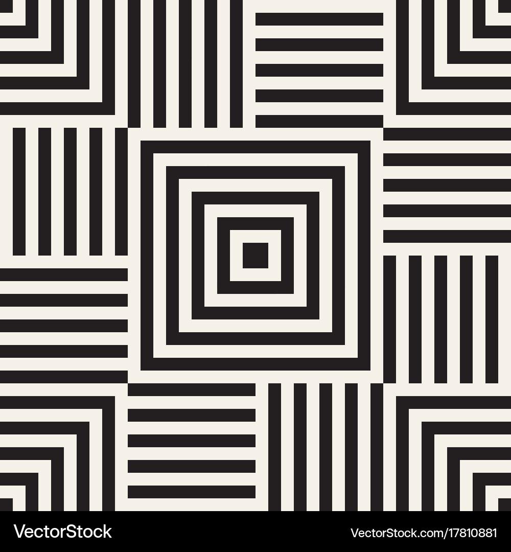 Stylish lines lattice ethnic monochrome texture Vector Image