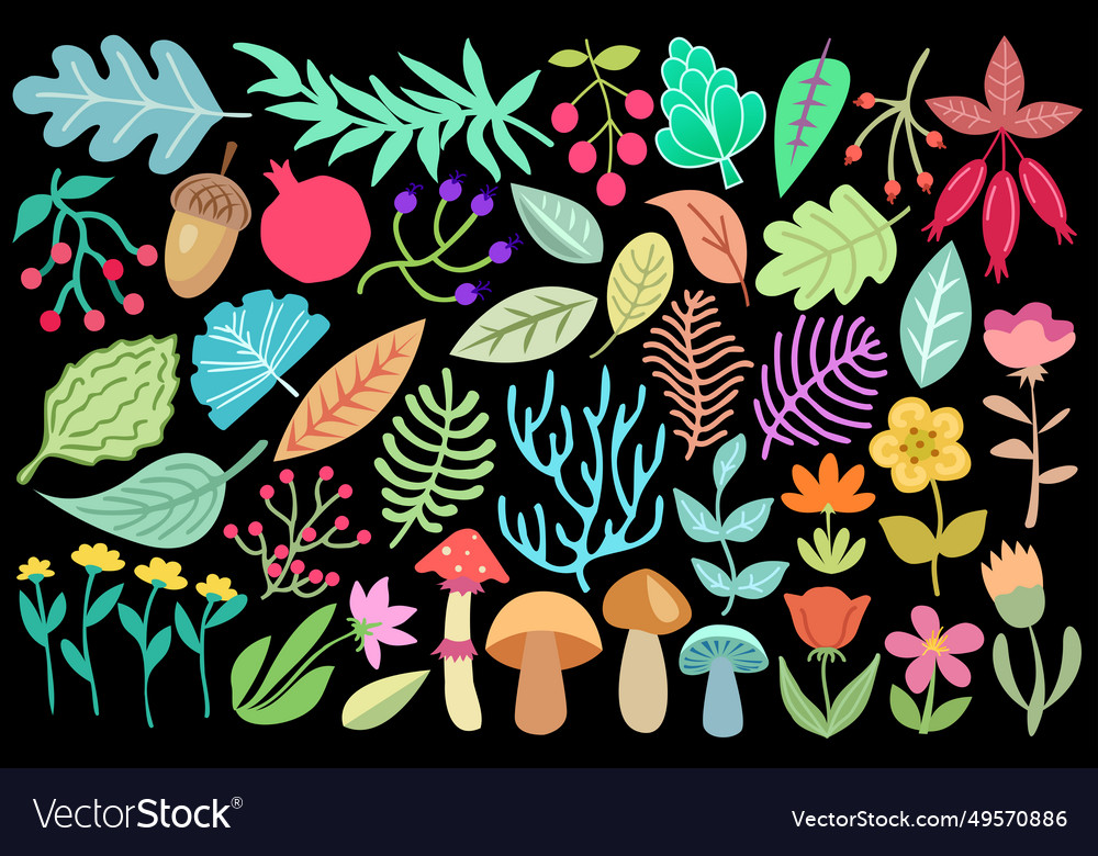 Botanical design elements set Royalty Free Vector Image