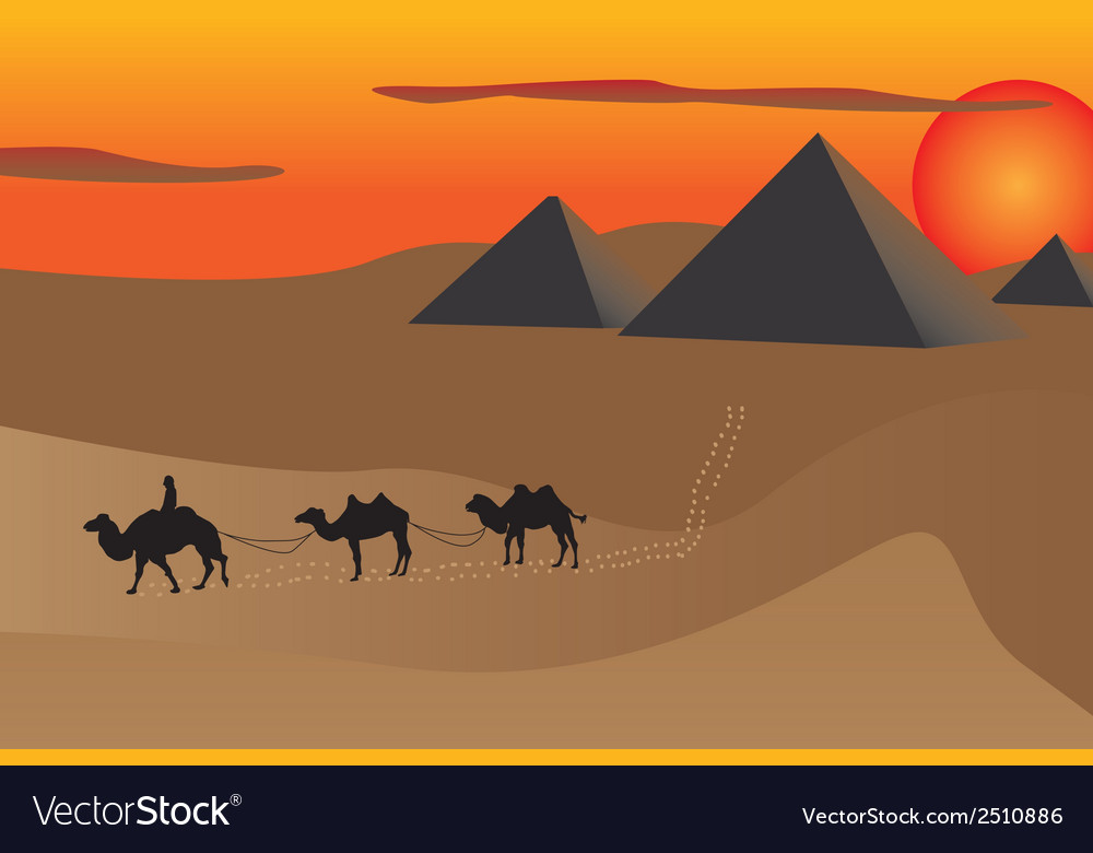 Egypt pyramids Royalty Free Vector Image - VectorStock