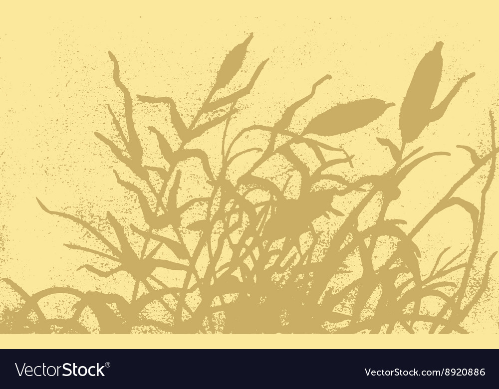 Reed Royalty Free Vector Image - VectorStock