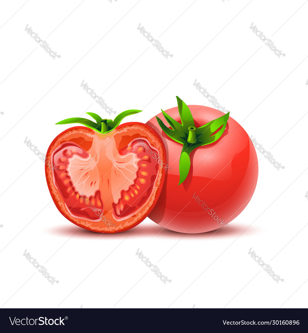 Tomato 5 Royalty Free Vector Image - VectorStock