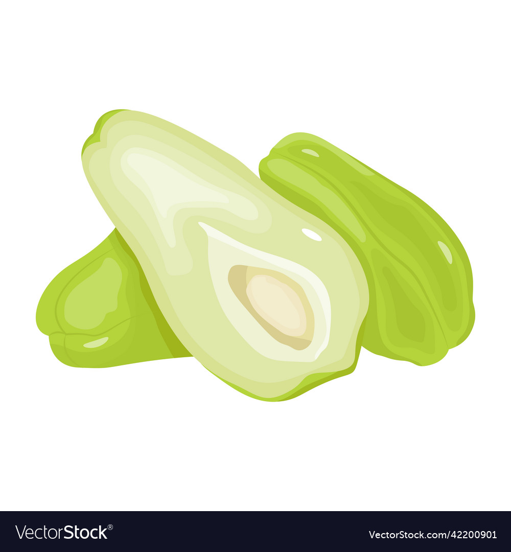 Chayote Royalty Free Vector Image - VectorStock