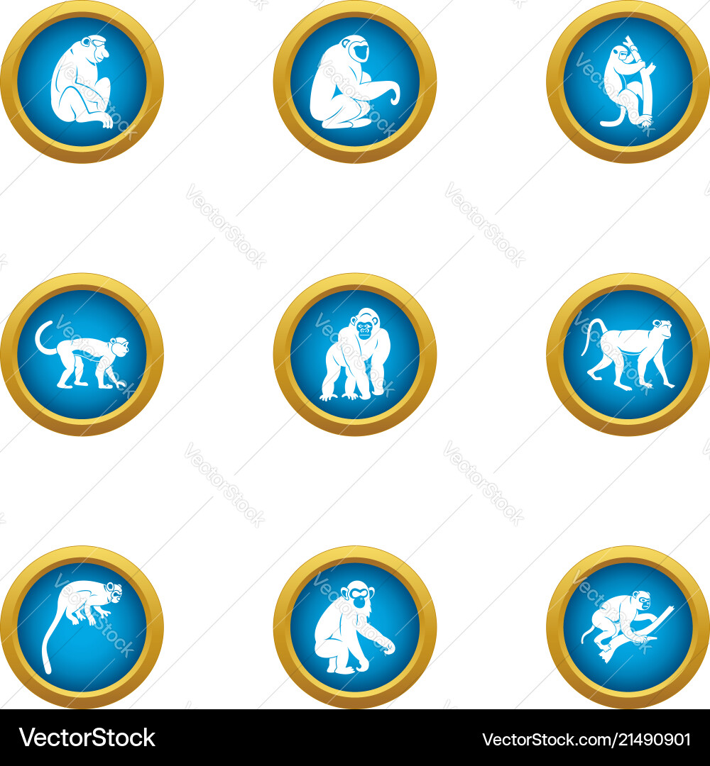 Marmoset icons set flat style Royalty Free Vector Image