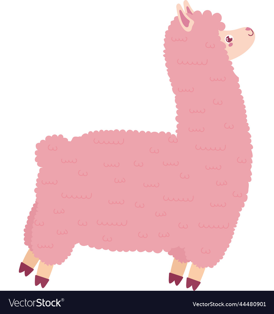 Sweet pink llama Royalty Free Vector Image - VectorStock