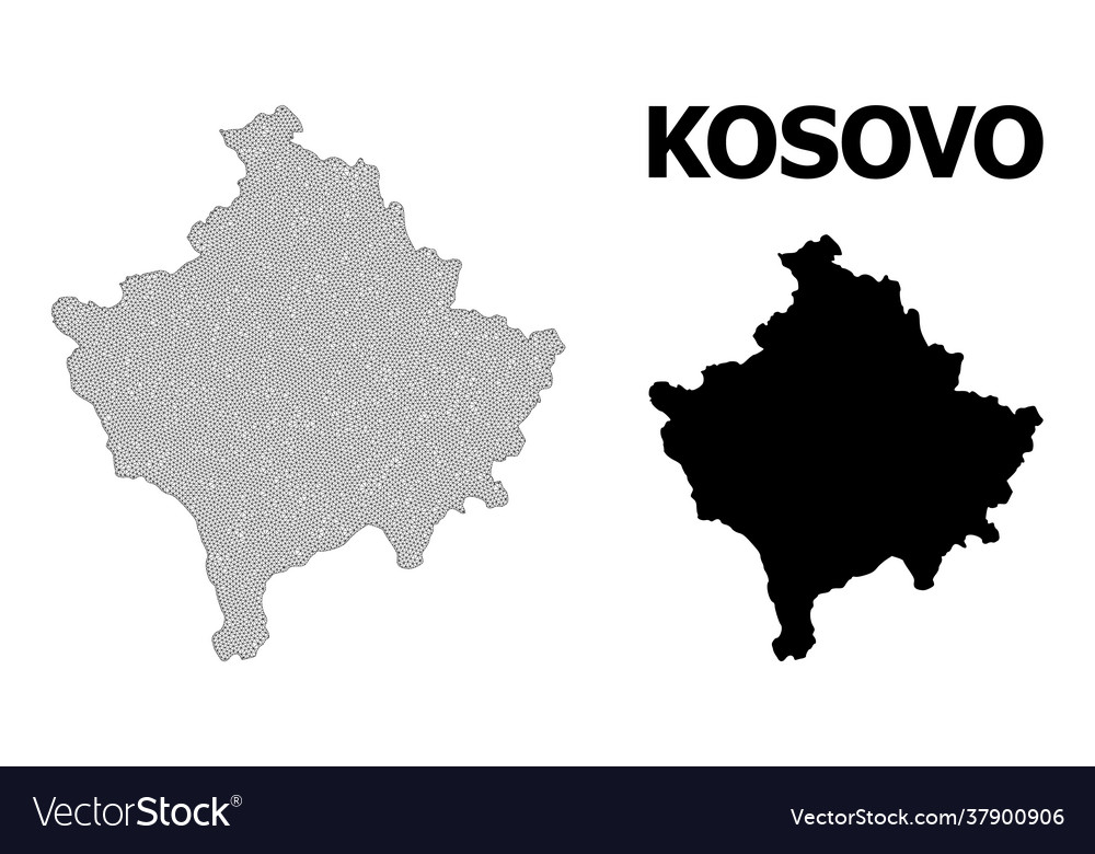 Polygonal Wire Frame Mesh High Resolution Vector Image