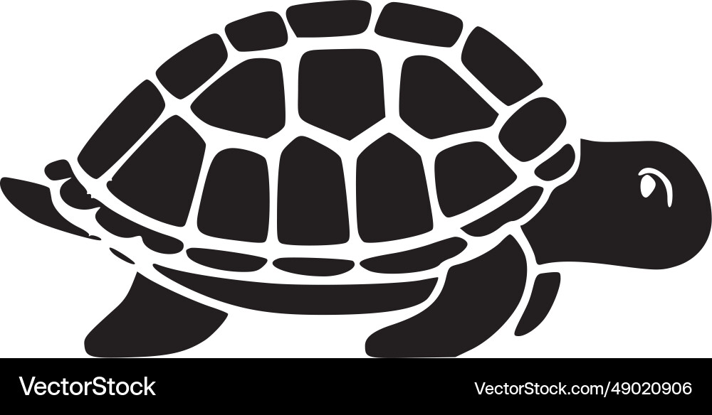 Turtle - high quality logo ideal for t-shirt Vector Image