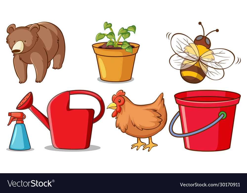 Large set different animals and other objects Vector Image