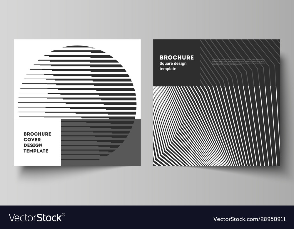 Minimal layout two square format Royalty Free Vector Image