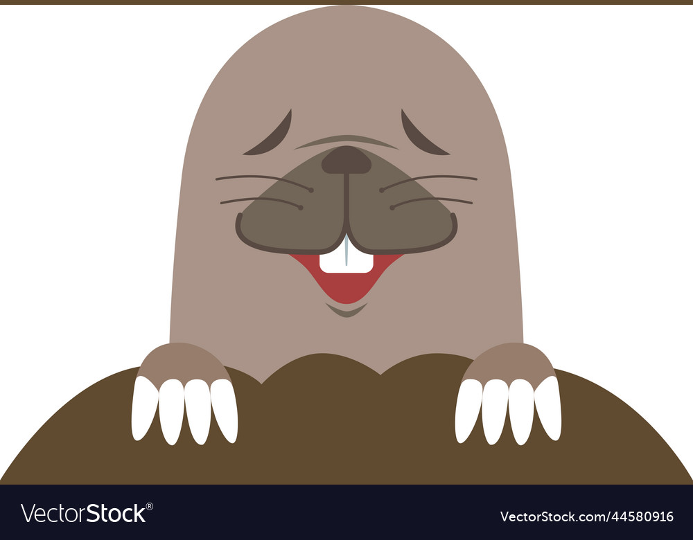 Mole Royalty Free Vector Image - VectorStock