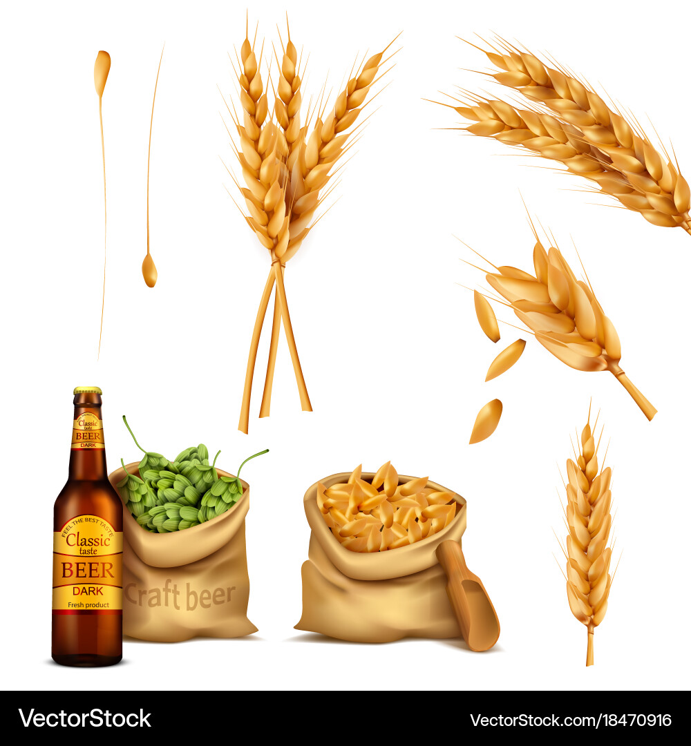 Set realistic icons concept brewing Royalty Free Vector