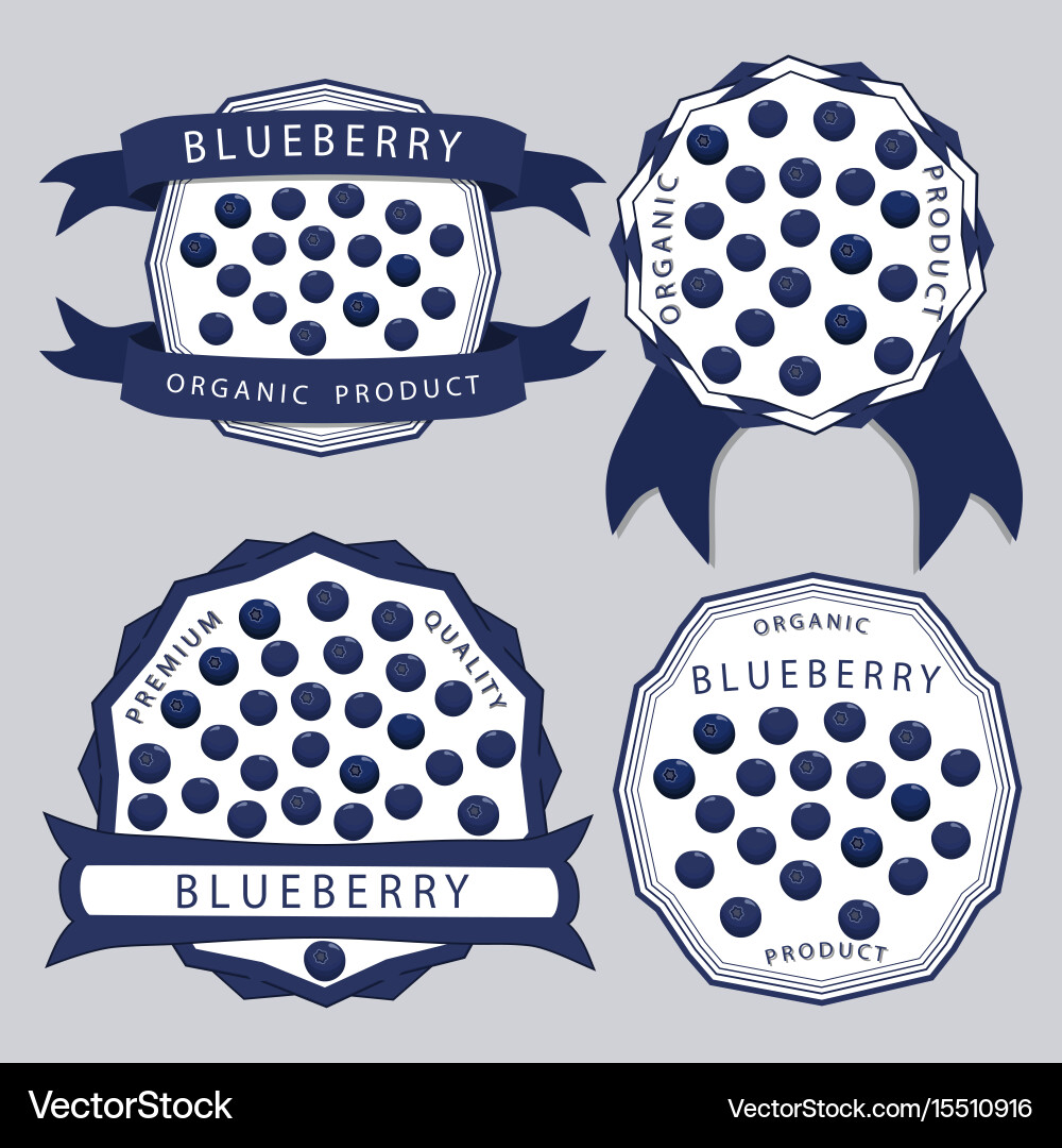 Theme blueberry Royalty Free Vector Image - VectorStock