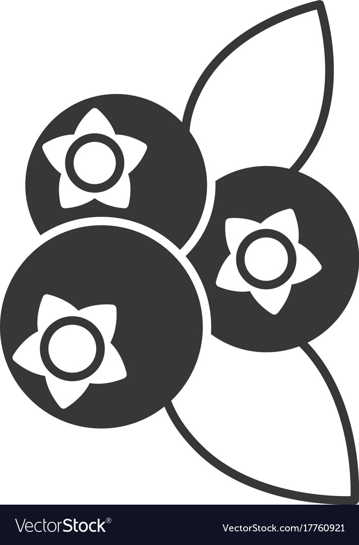 Blueberry icon Royalty Free Vector Image - VectorStock