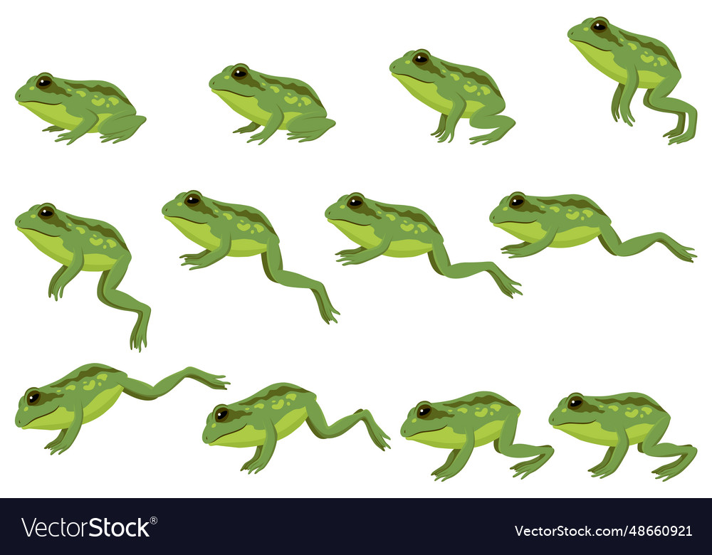Frog jumping animation icon set sequences or Vector Image
