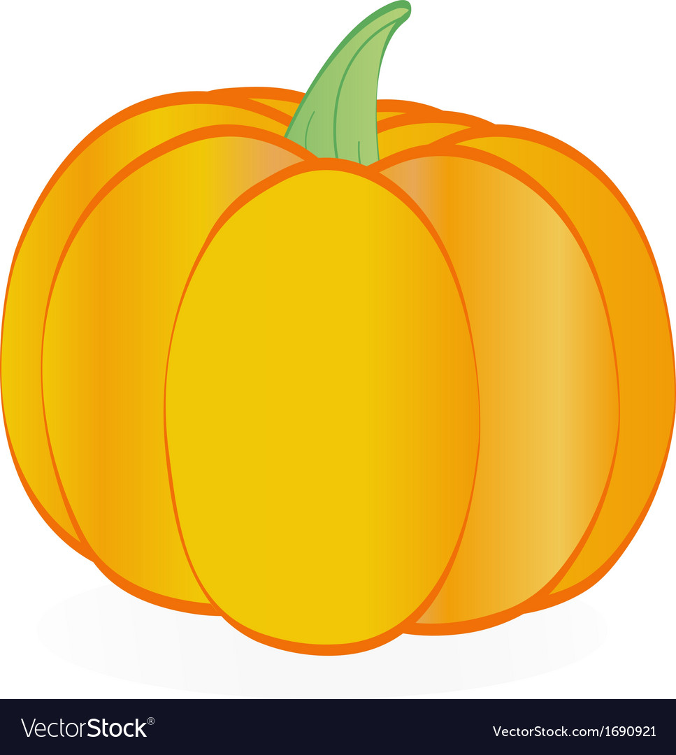 Isolated pumpkin Royalty Free Vector Image - VectorStock