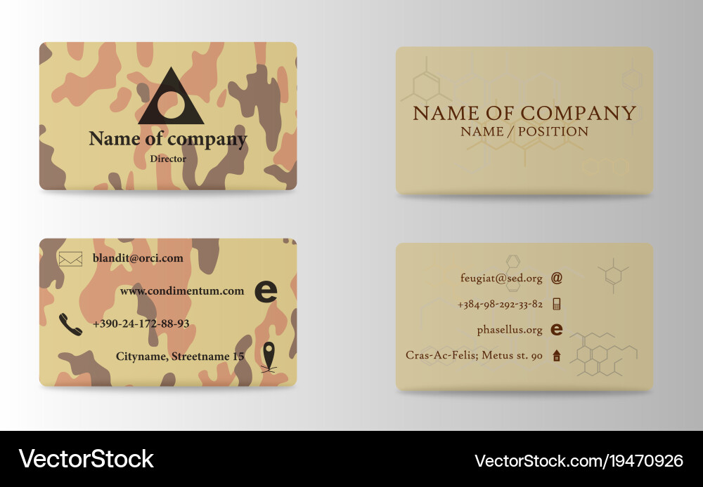 Visit card for business Royalty Free Vector Image