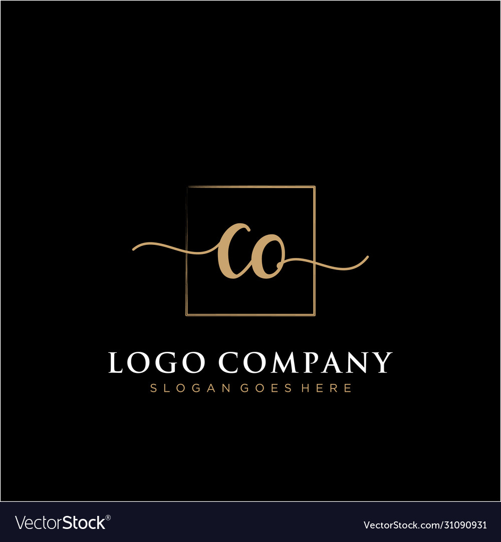 Co initial handwriting logo with rectangle Vector Image