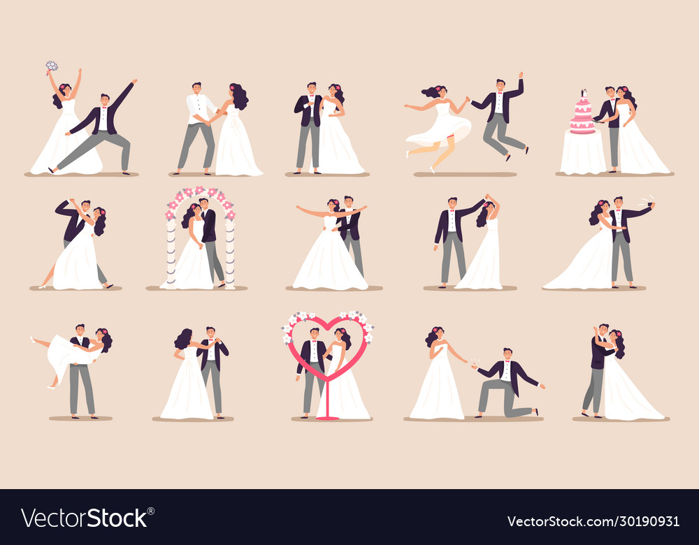 Wedding couples bride in wedding dress just Vector Image