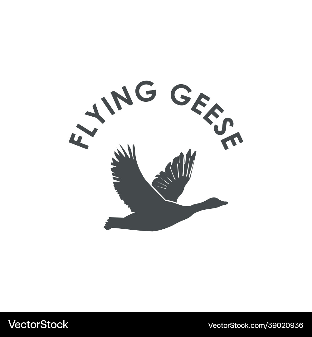 Flying geese goose logo silhouette design Vector Image