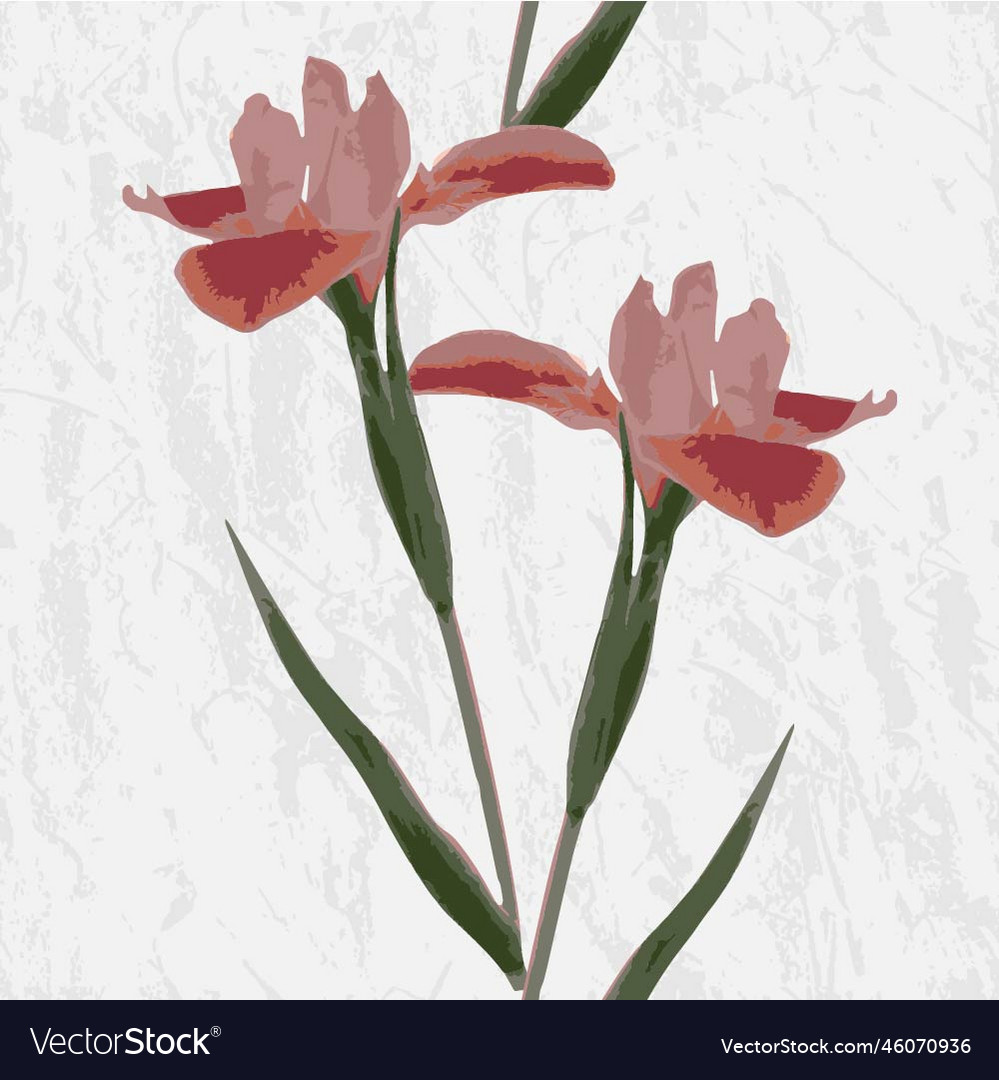 Iris seamless pattern Royalty Free Vector Image