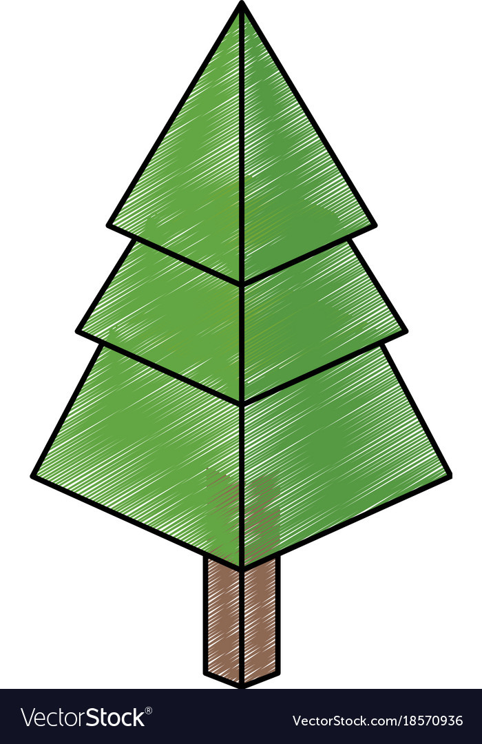 Pine tree design Royalty Free Vector Image - VectorStock