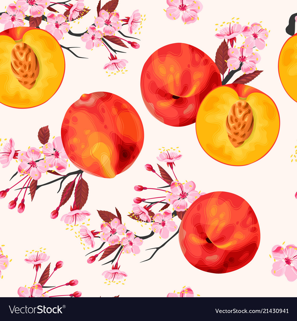 Peach seamless pattern Royalty Free Vector Image