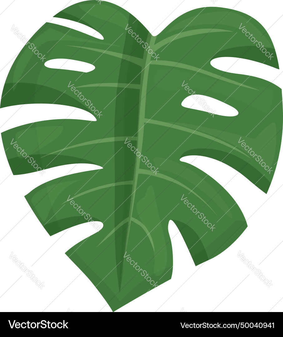Spring monstera icon cartoon jungle plant Vector Image