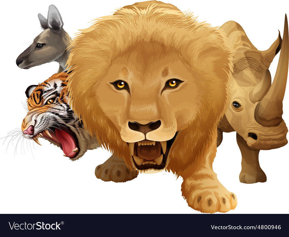 Animals Royalty Free Vector Image - VectorStock