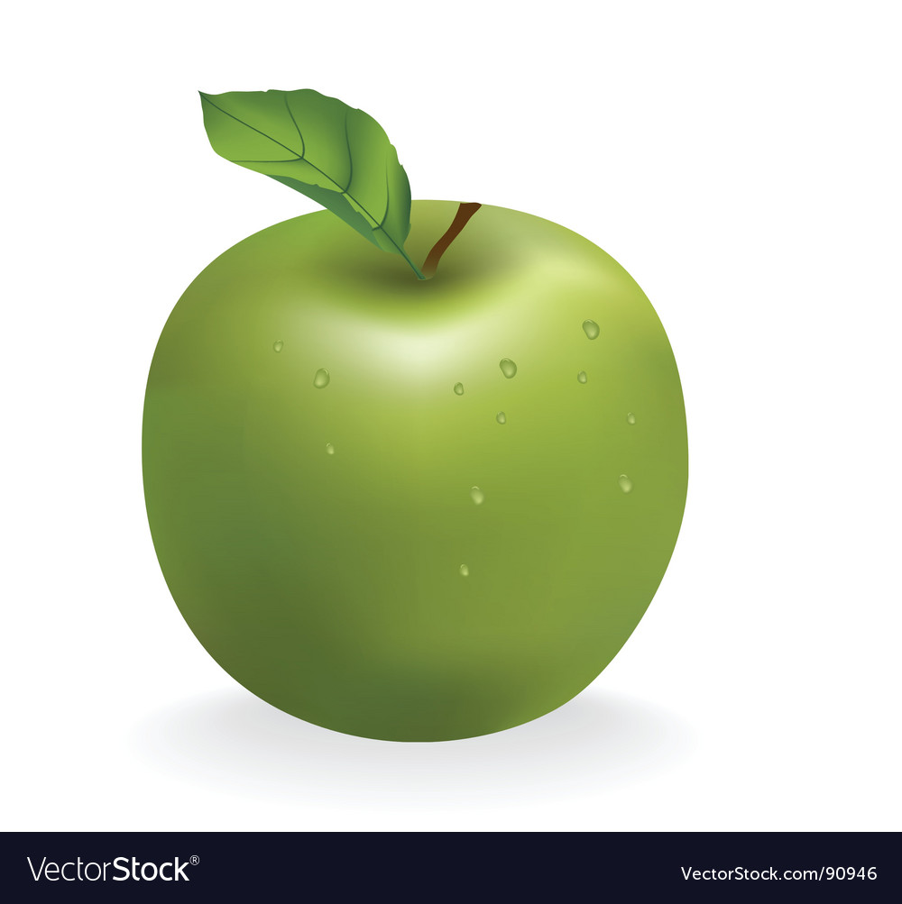 Apple Royalty Free Vector Image - VectorStock