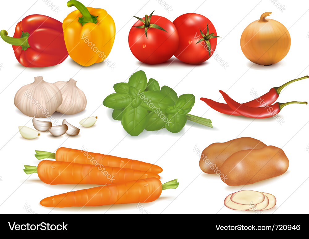 Big colorful group of vegetables Royalty Free Vector Image