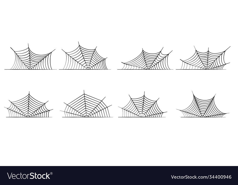 Spider web concept Royalty Free Vector Image - VectorStock