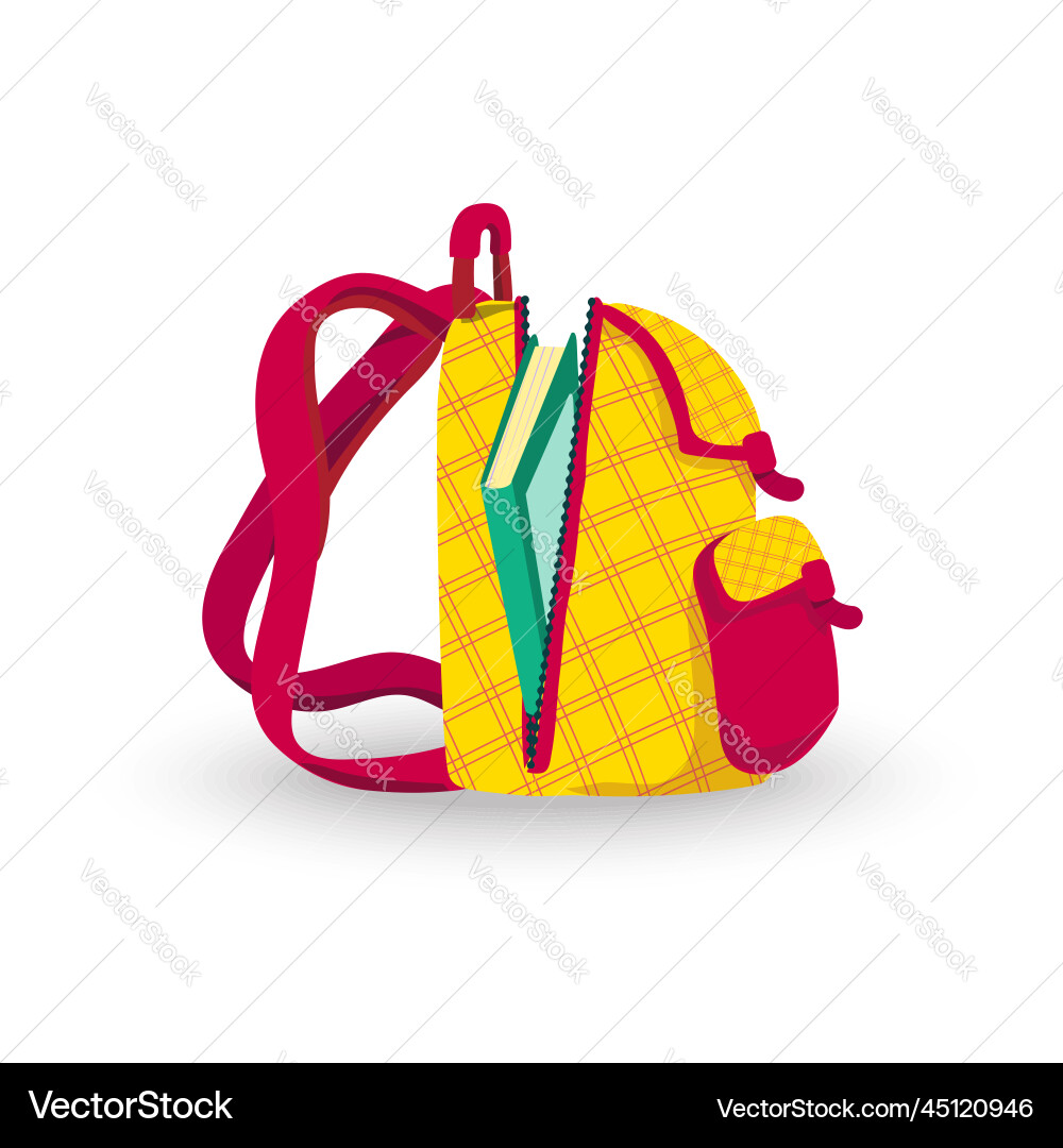 Stylish cute school backpack for boy or girl Vector Image