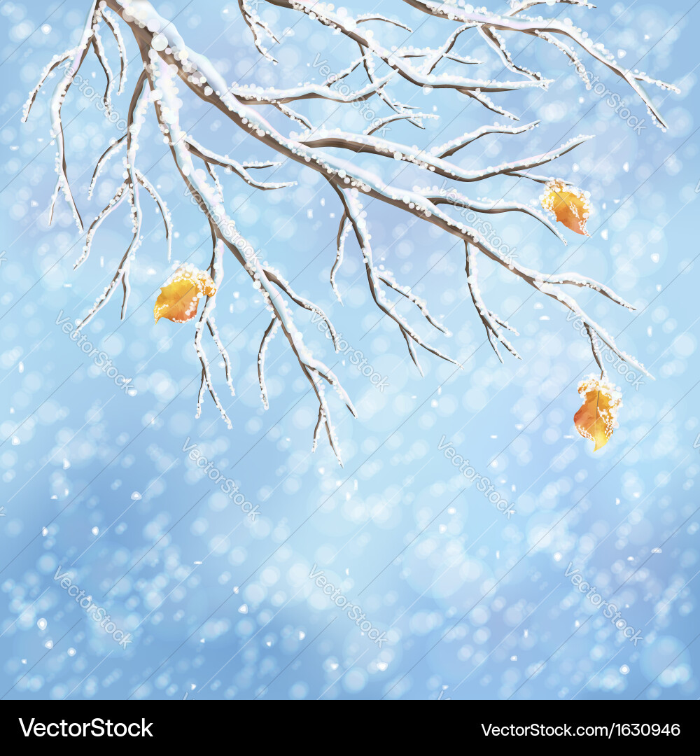 Winter snow-covered frost branch background Vector Image