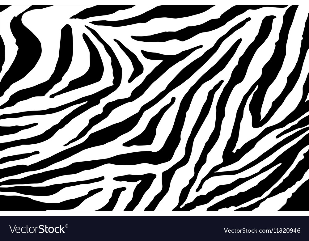 Zebra pattern Royalty Free Vector Image - VectorStock