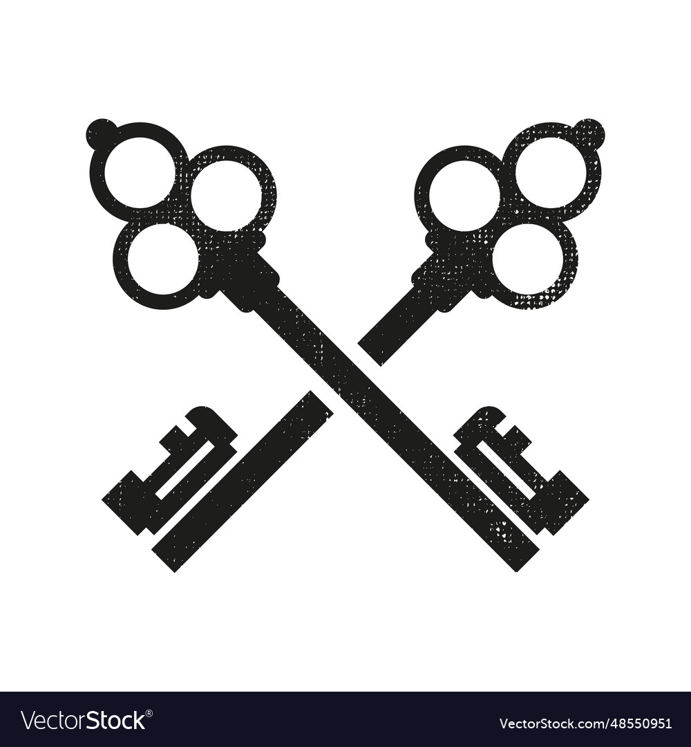 Two vintage retro crossed keys Royalty Free Vector Image