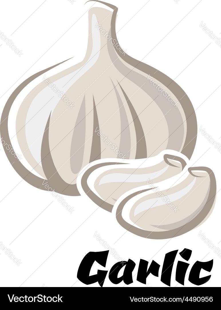 Cartoon bulb white garlic with cloves Royalty Free Vector