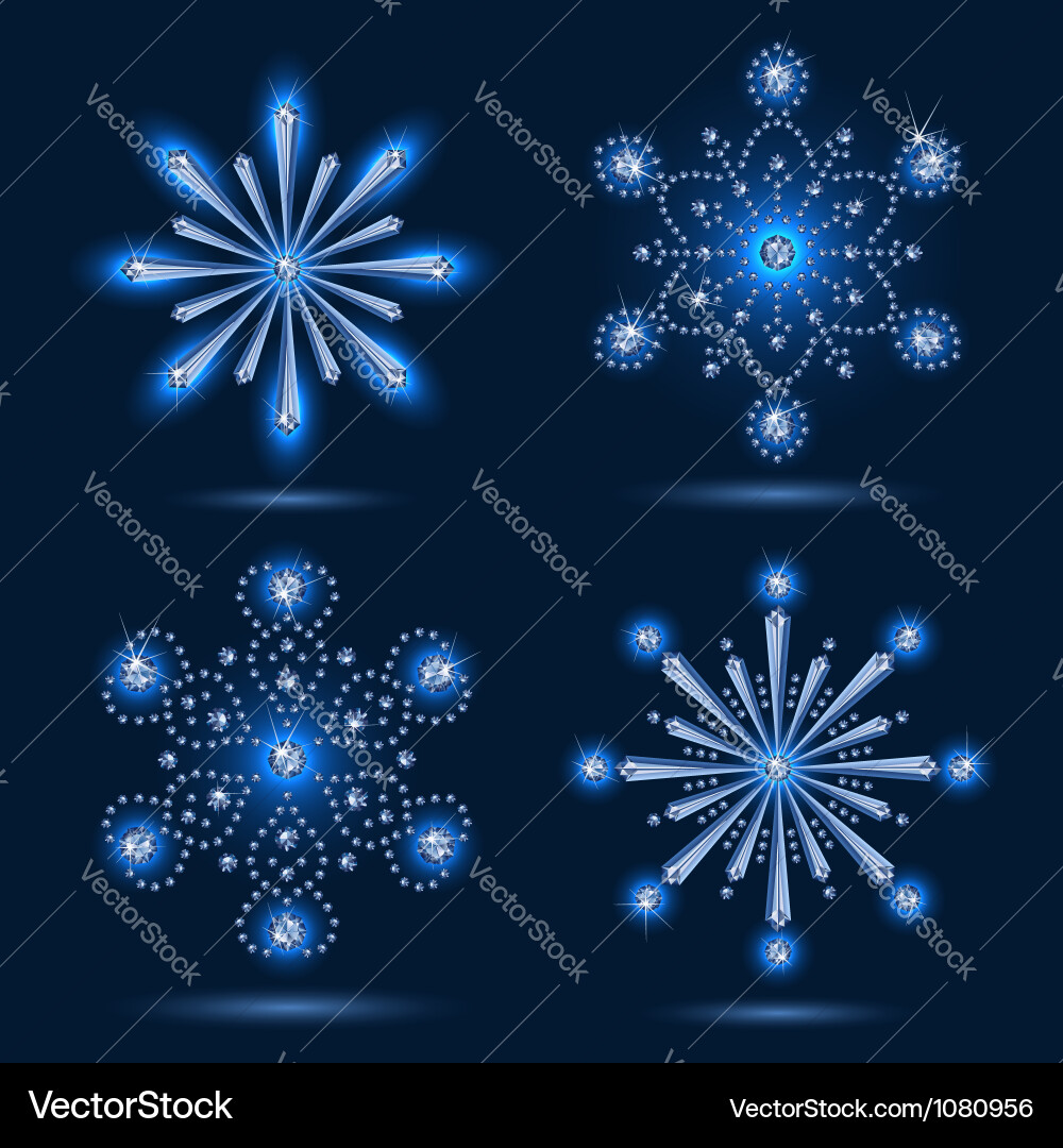 Set of four snowflakes Royalty Free Vector Image