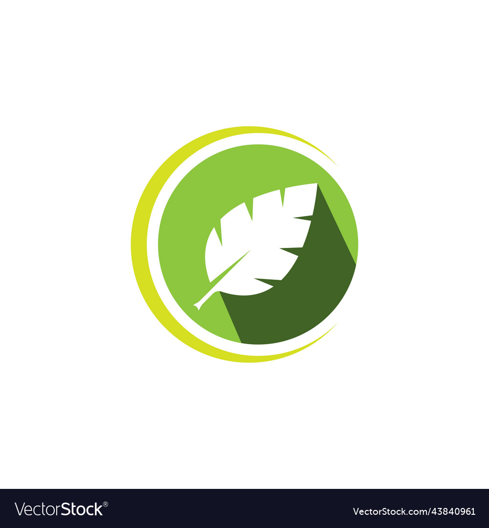 Leaf icon Royalty Free Vector Image - VectorStock
