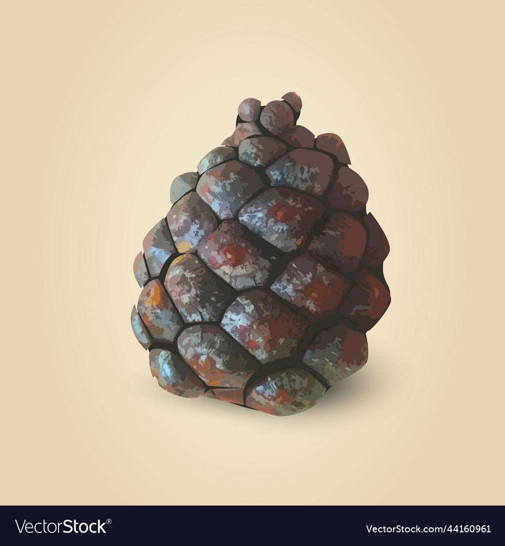 Realistic pine cone isolated Royalty Free Vector Image Realistic pine cone isolated Royalty Free Vector Image