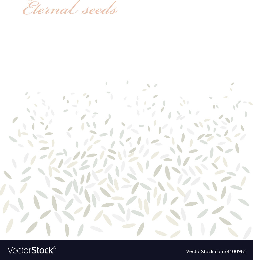 Rice background Royalty Free Vector Image - VectorStock