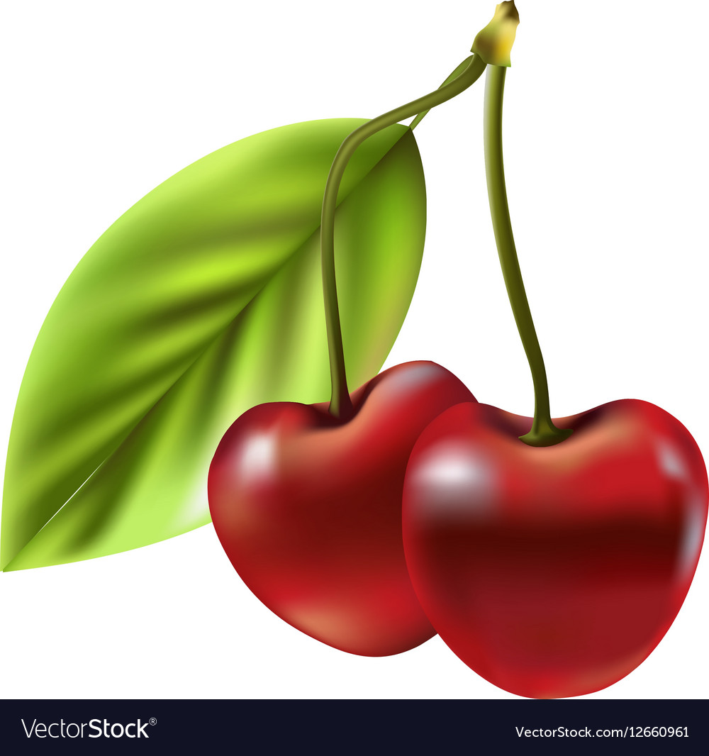 Two Ripe Red Cherry Berries With Leaf Royalty Free Vector