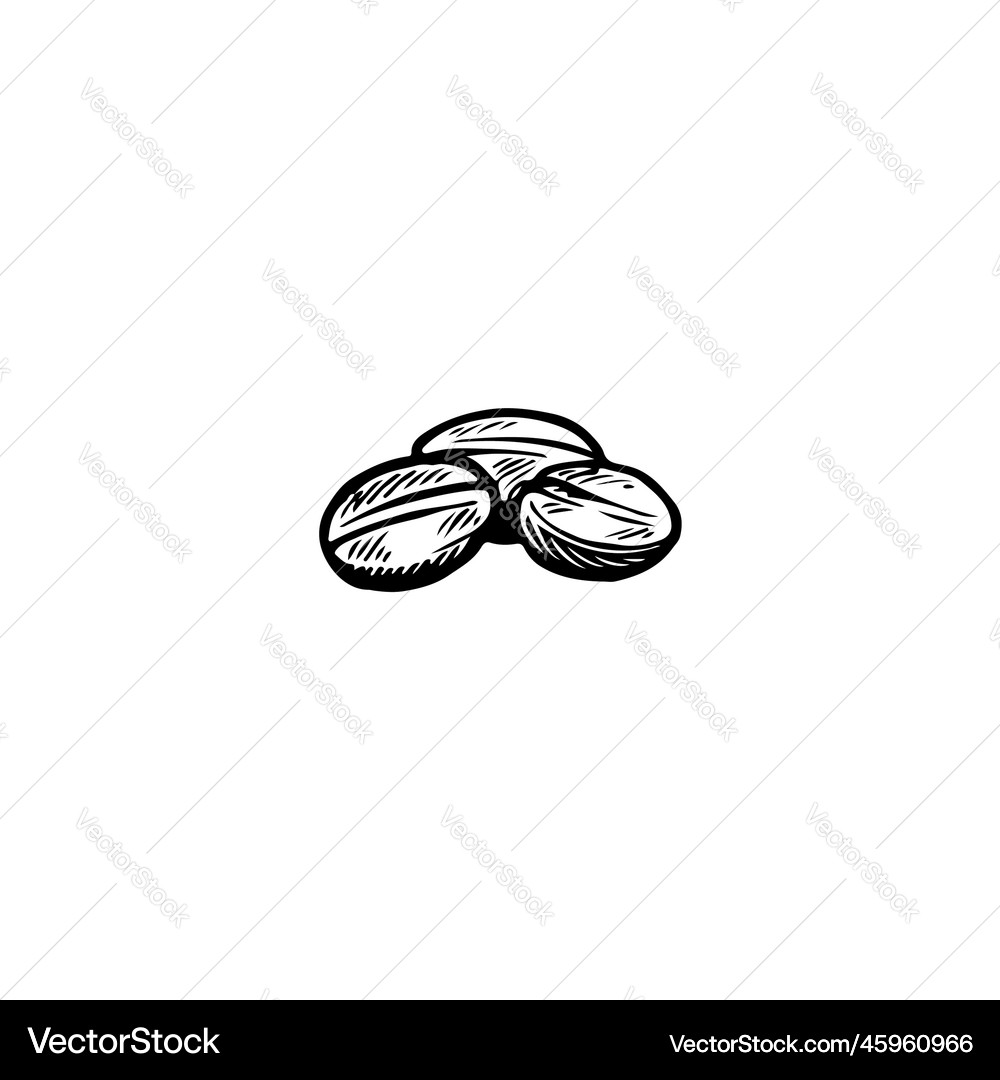 Hand-drawn of coffee beans fresh aromatic seed Vector Image