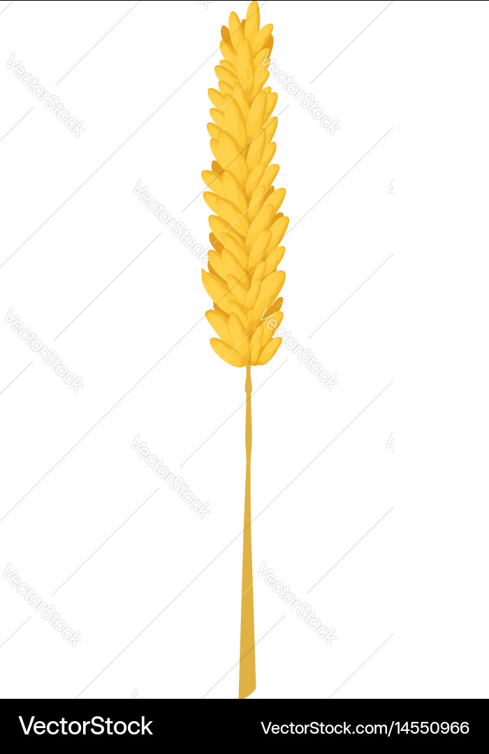 Rice stalk icon cartoon style Royalty Free Vector Image