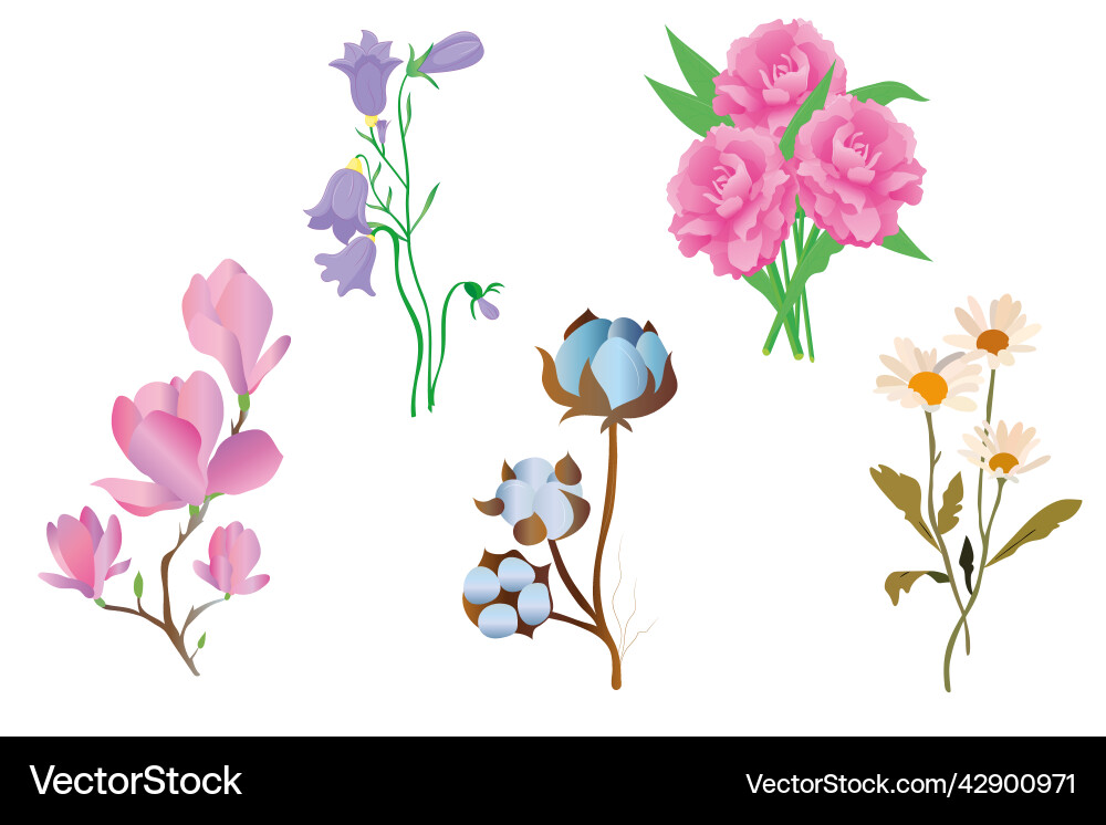 Flower bouquet set Royalty Free Vector Image - VectorStock