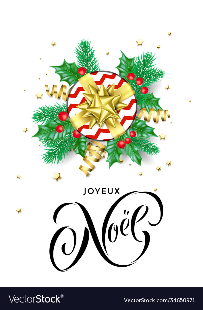 Joyeux noel french merry christmas hand drawn Vector Image