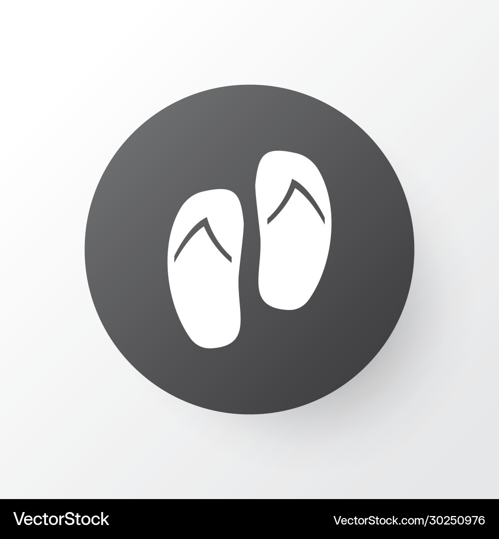 Flip flop icon symbol premium quality isolated Vector Image
